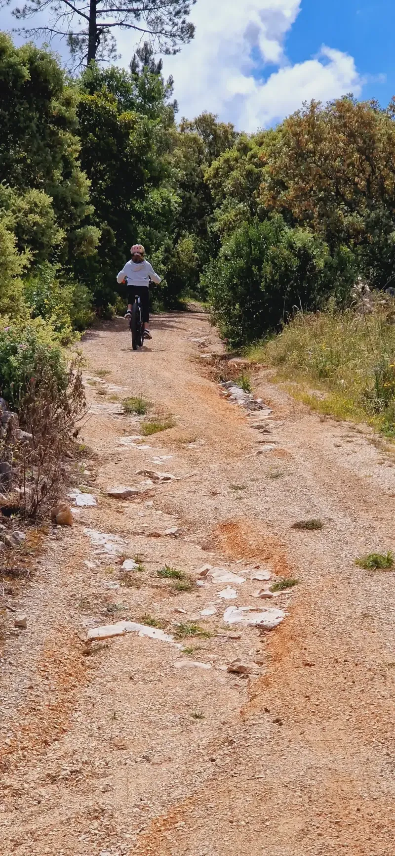 E-Bike Tour: Fátima & Jurassic Footprints Serra de Aire Natural Park